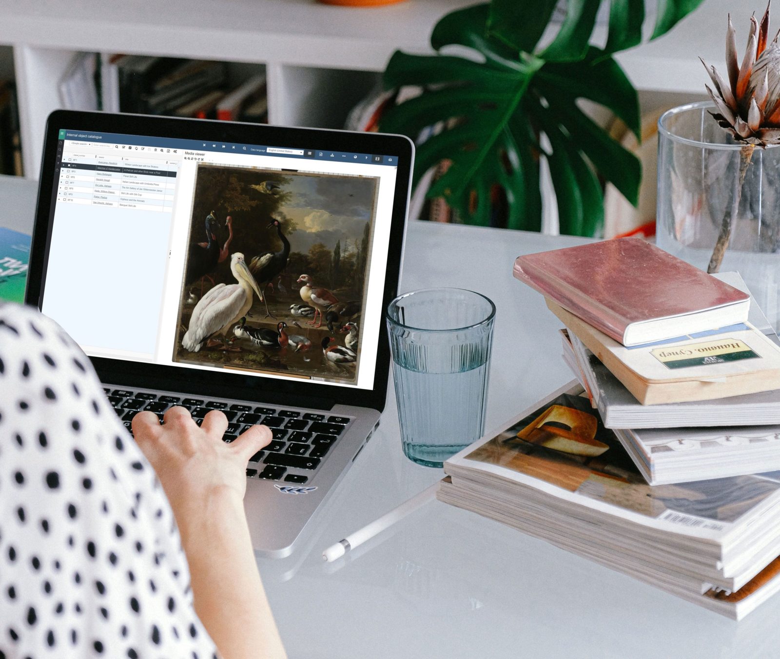 Guide: How to choose the right Collections Management Software - Axiell