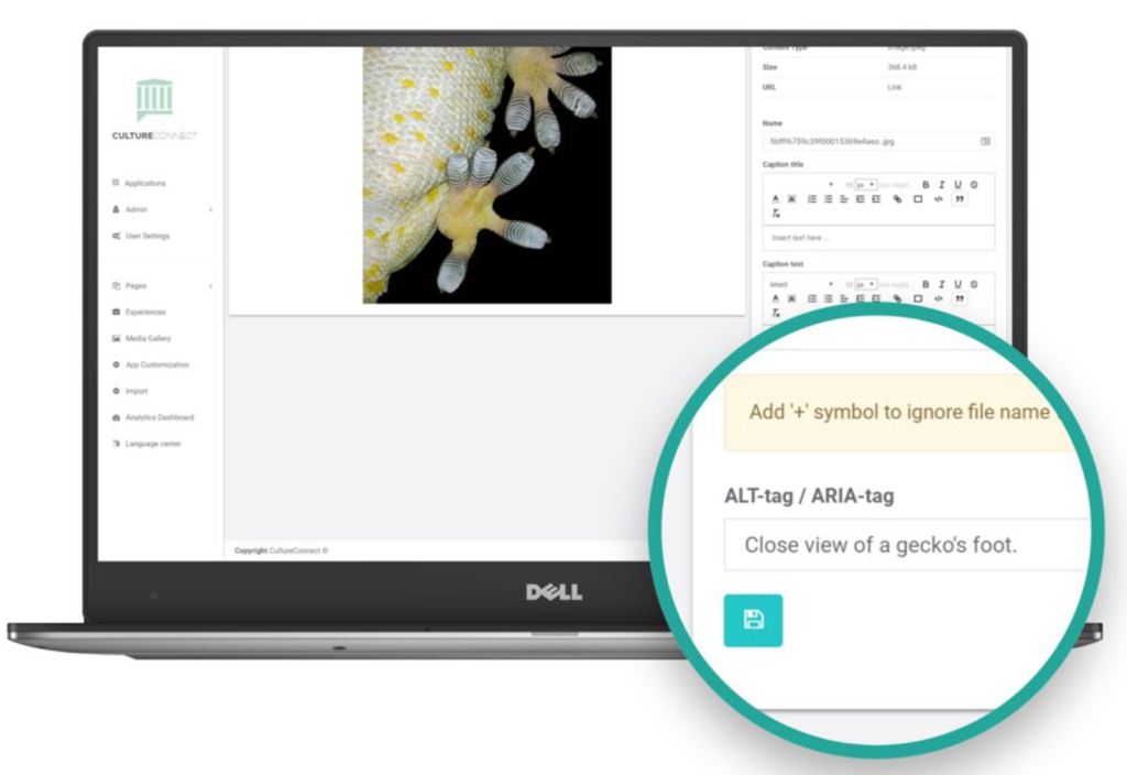 Accessibility 101: Alt Text - Axiell